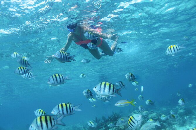 Cancun 4 hour Private Yacht Experience with Lunch and Open Bar Onboard - Practical Details You Should Know