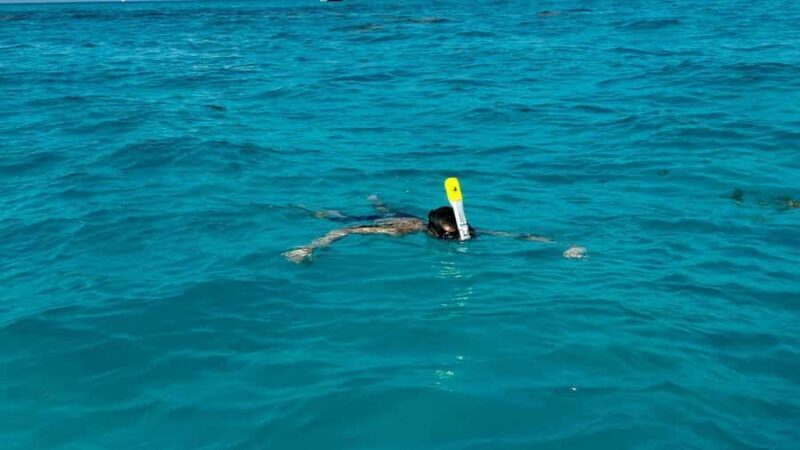 Cancun: 4-Hour Snorkeling Adventure for All Ages - Key Points