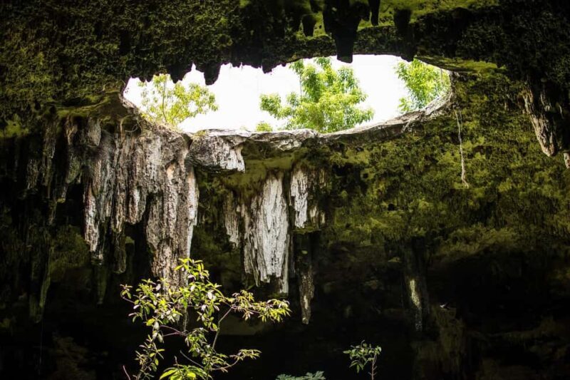 Cancun: access to Chichen Itza, Ek Balam, a cenote, and lunch - The Journey Begins: Transport and Early Start