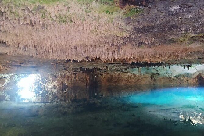 Cancun Adventure Tour with Ziplines, ATVs and Cenote Swim - Key Points