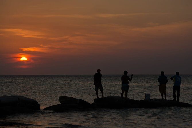 Cancun Airport to Holbox Transportation Private - Practical Tips for Travelers