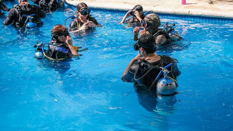 Cancun: All included Diving Lesson (2 Tanks) - The Practical Side: Logistics and What It Means for You