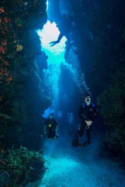Cancun: Angelfish Discovery Package - What You’ll Experience During the Dives