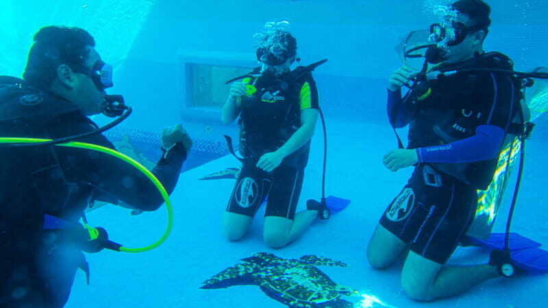 Cancun: Aquaworld Scuba Diving School - Who Will Love This Tour?