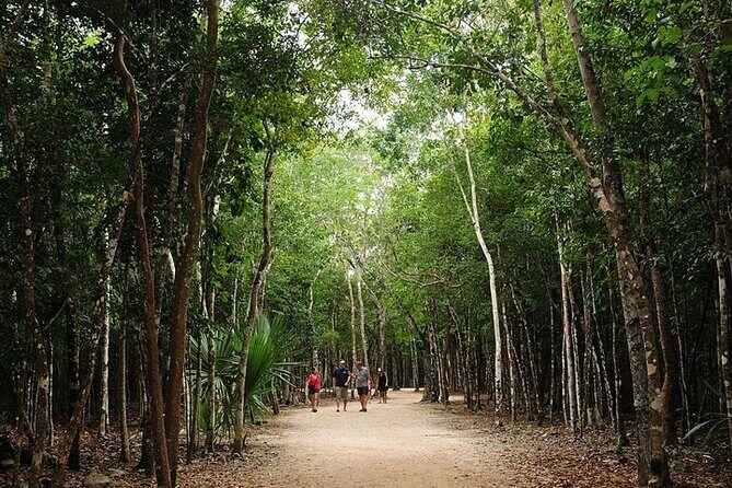 Cancun ATV Adventure, Horseback Riding, Zip Lines, and Cenote - Who Will Love This Tour?