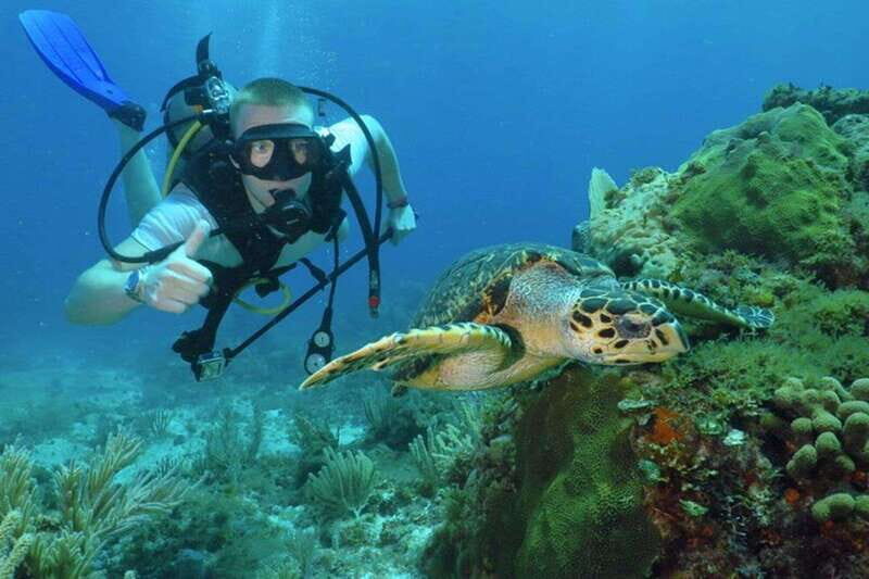 Cancun: Beginner Scuba Diving at Underwater Museum - What to Expect on the Tour