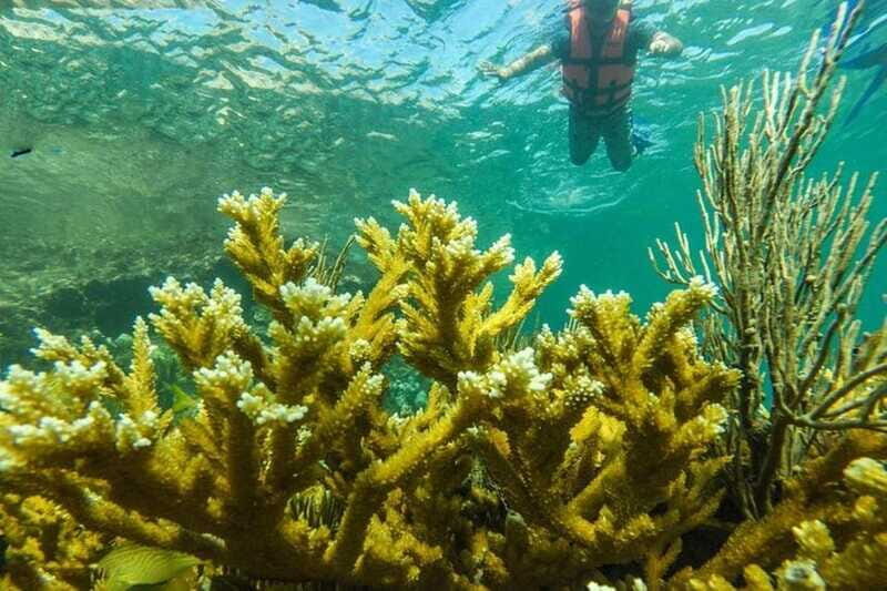 Cancun: Cancun Cenote Tour & Snorkeling - FAQ