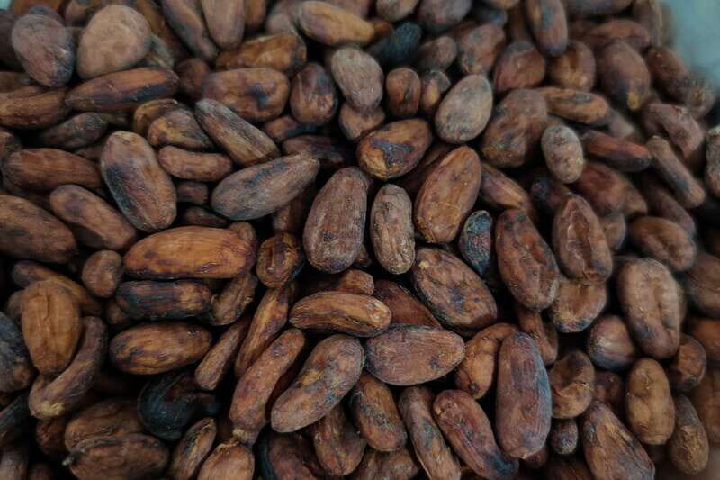 Cancún: Chocolate Making Class and Tasting with Chef - Key Points