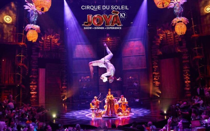 Cancún: Cirque du Soleil JOYÀ Ticket - An In-Depth Look at the Cirque du Soleil JOYÀ Experience