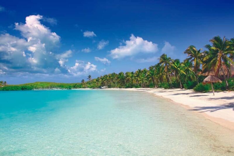 Cancun: Contoy Island & Isla Mujeres with snorkeling and lunch on the beach - What Makes This Tour Stand Out?