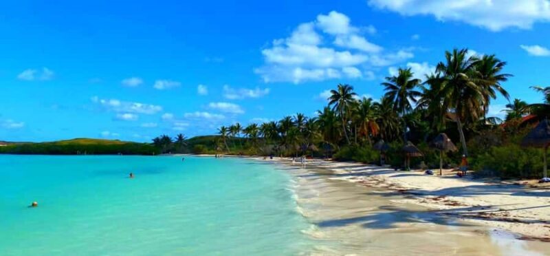 Cancun: Contoy Island & Isla Mujeres with snorkeling and lunch on the beach - Is This Tour Right for You?