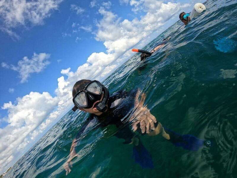 Cancún: Cozumel 2-Tank Diving Tour with Lunch & Transfers - An Honest Look at the Experience