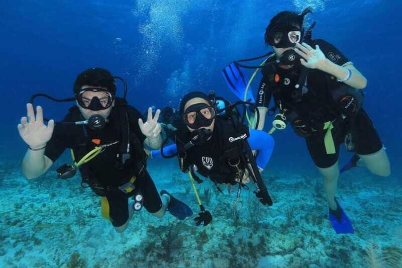 Cancún: Cozumel 2-Tank Diving Tour with Lunch & Transfers - The Bottom Line