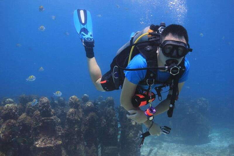 Cancun: Dive Underwater Museum & Manchones Reef - What It Feels Like to Be There