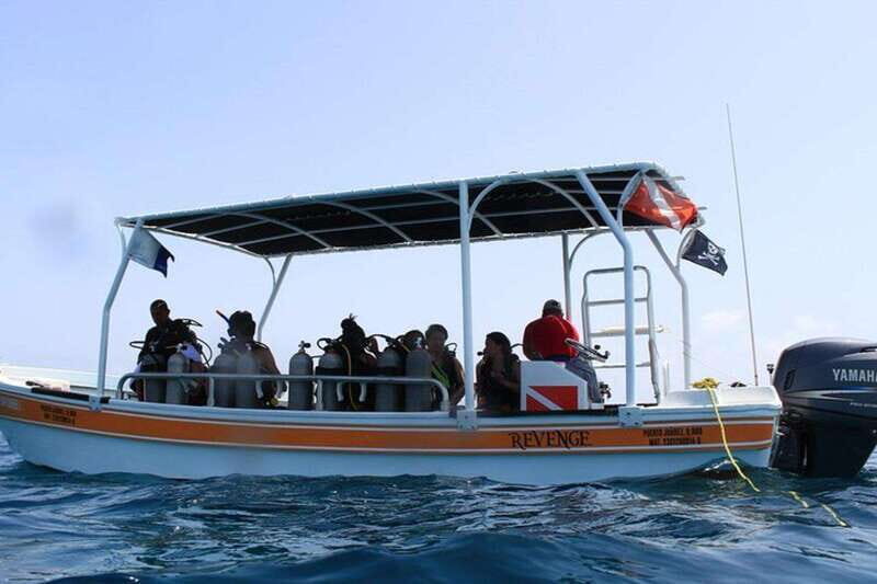 Cancun: Dive Underwater Museum & Manchones Reef - The Sum Up