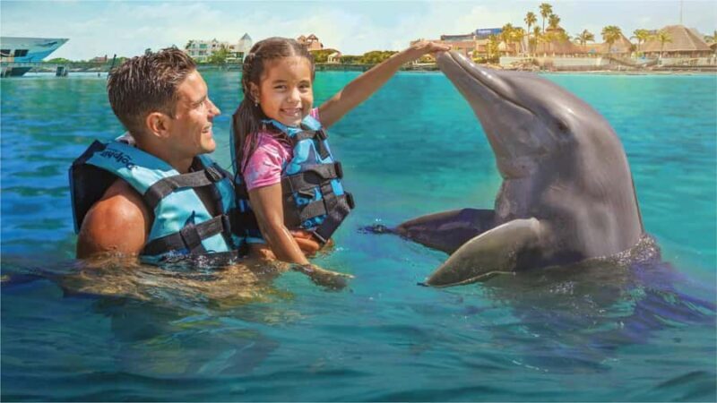 Cancun: Dolphin Connection & Garrafon Reef Park with Buffet - Final Thoughts: Is It Worth It?