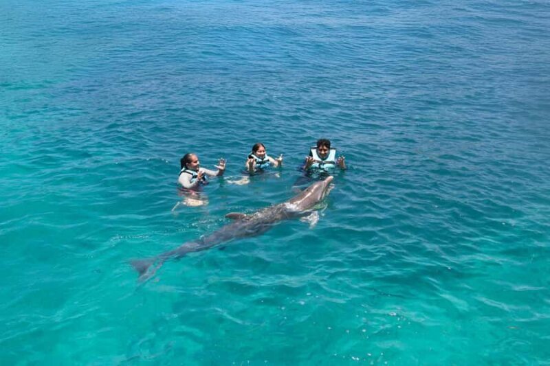 Cancun: Dolphin Connection & Garrafon Reef Park with Buffet - FAQ