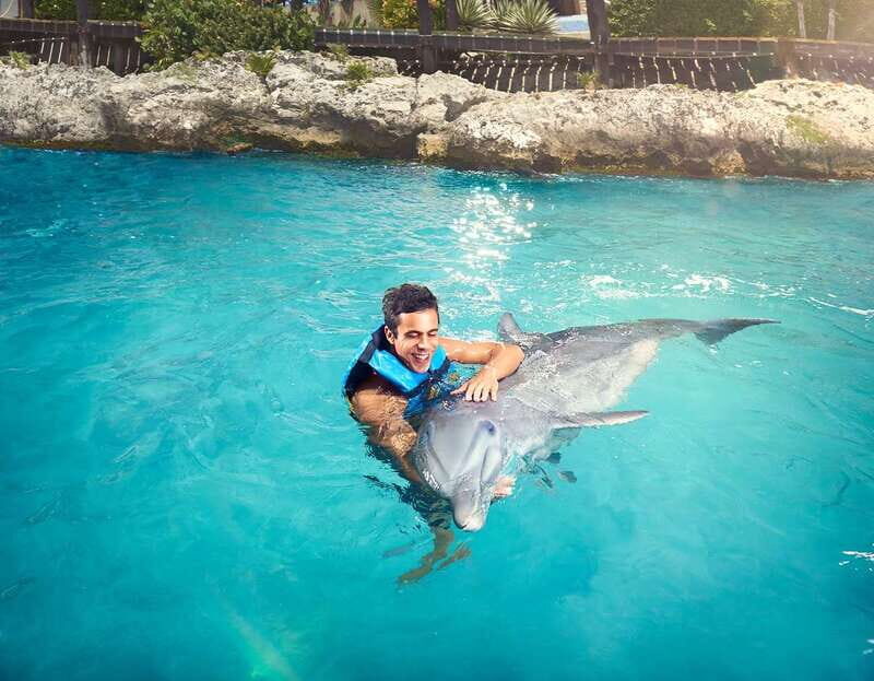 Cancún: Dolphin Encounter on Isla Mujeres with Buffet - Analyzing the Value: Is It Worth $95?