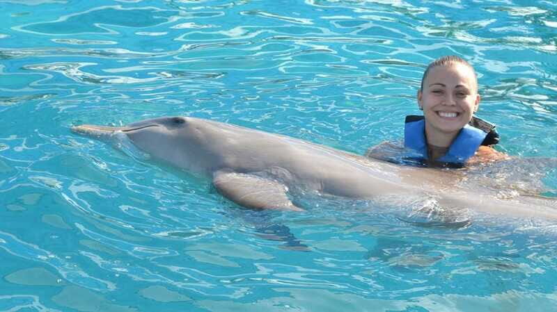 Cancún: Dolphin Encounter on Isla Mujeres with Buffet - Final Thoughts