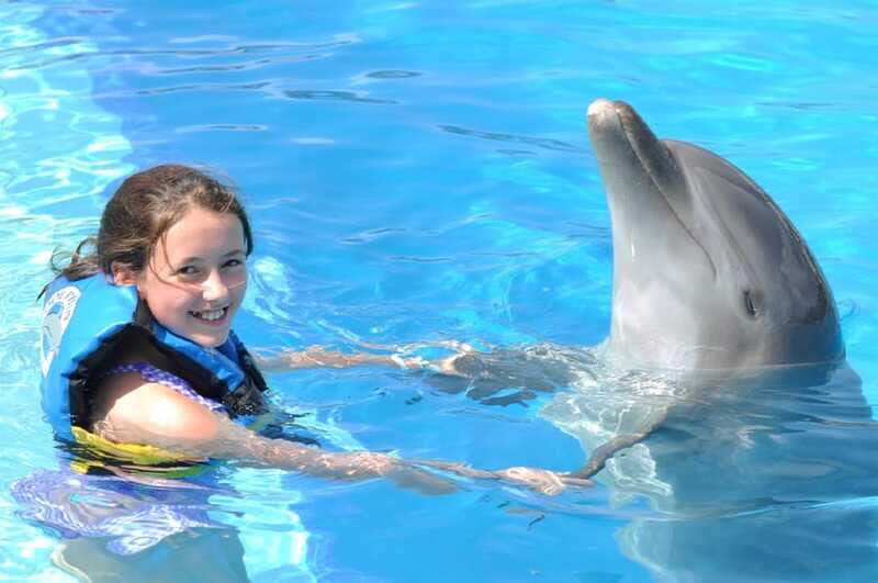 Cancún: Dolphin Encounter on Isla Mujeres with Buffet - FAQs