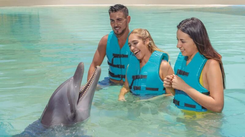 CANCUN: Dolphin Swim Adventure with buffet and soft drinks - Key Points