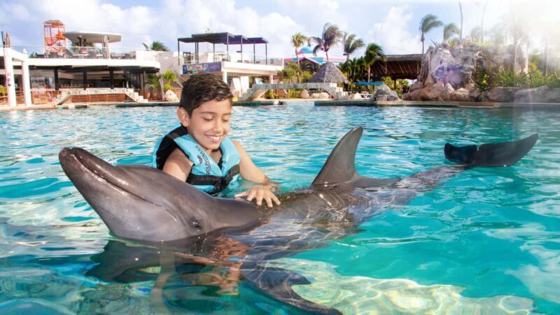 CANCUN: Dolphin Swim Adventure with buffet and soft drinks - What to Expect: A Closer Look at the Tour