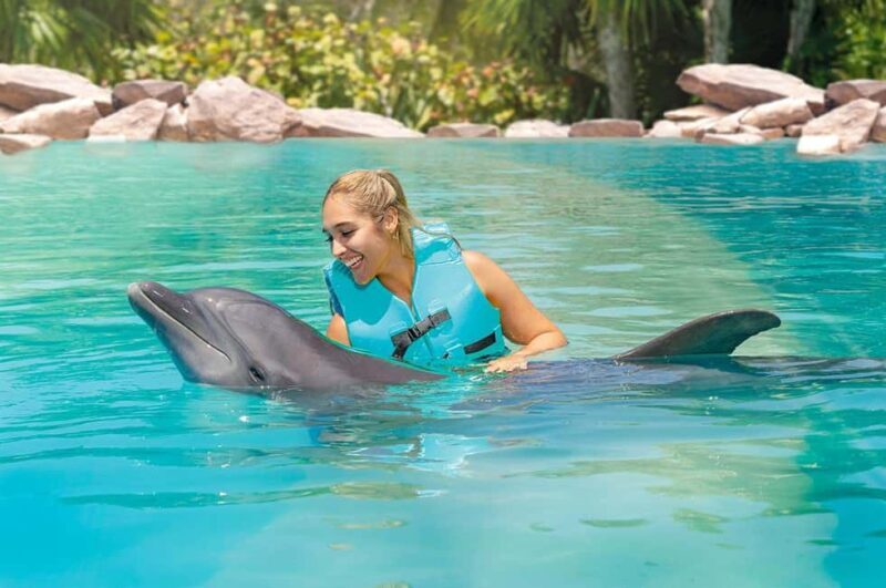 CANCUN: Dolphin Swim Adventure with buffet and soft drinks - Is This Tour Worth It?