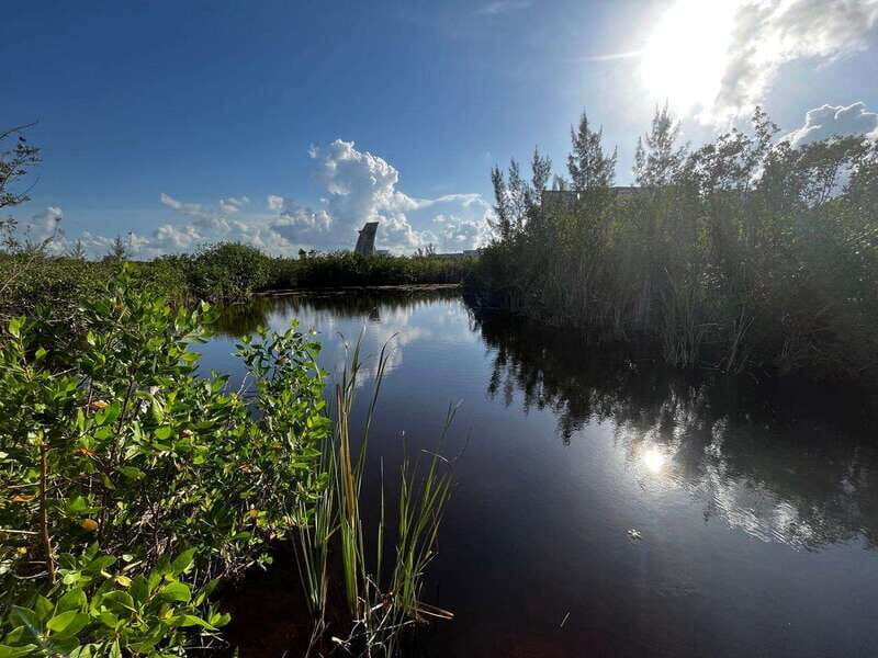 Cancun Downtown Evening Walking Tour - Who Should Book This Tour?