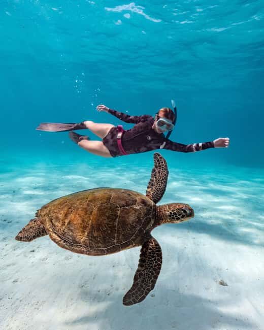 Cancun: Explore Tulum, swim with turtles, cenote, and snorkel in caves - Authentic Experiences and Authenticity