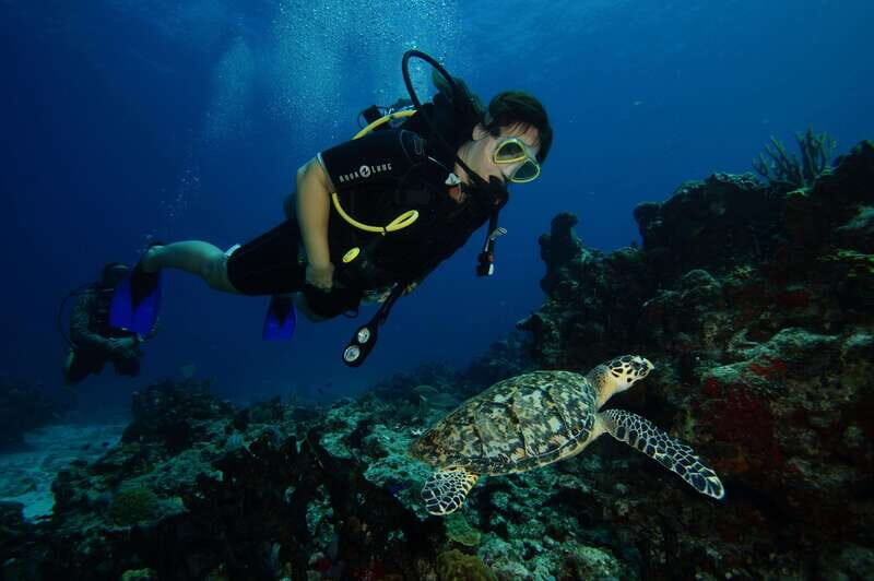 CANCUN: FIRST TIME DIVERS CANCUN - An In-Depth Look at the Experience