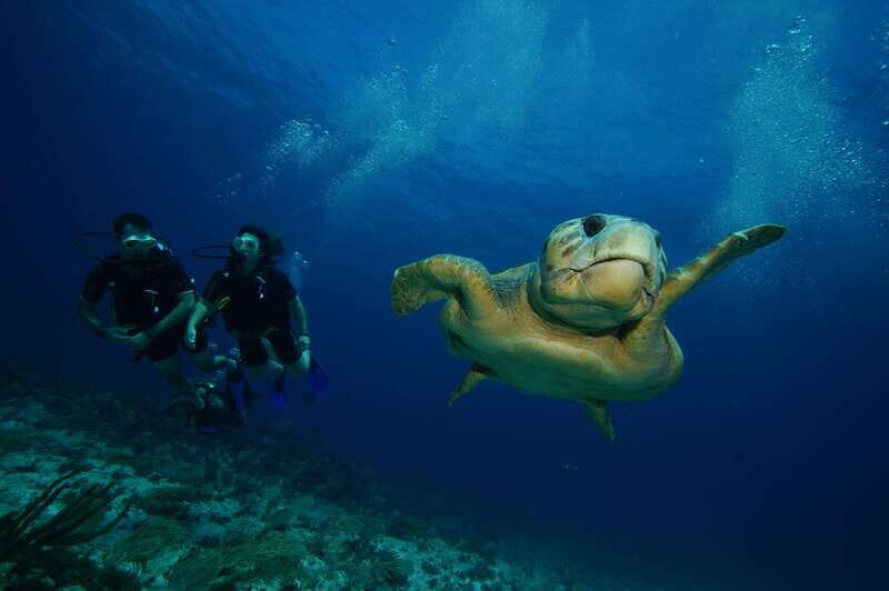 CANCUN: FIRST TIME DIVERS CANCUN - Why Choose This Tour?