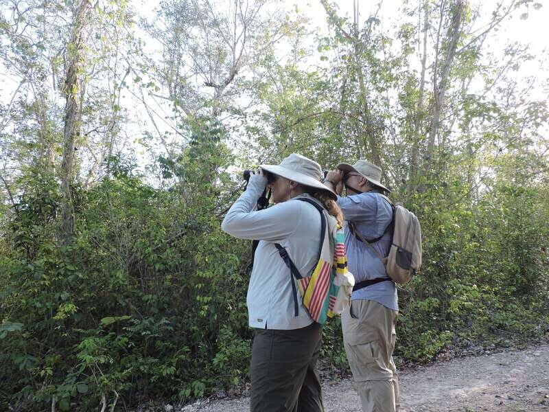 Cancún: Guided Birdwatching Hike - Key Points