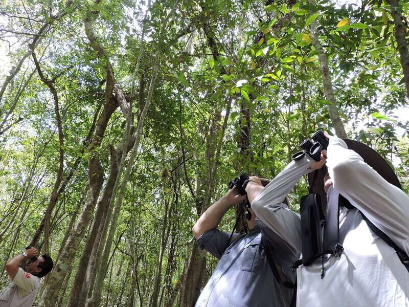 Cancún: Guided Birdwatching Hike - Who Will Love This Experience?