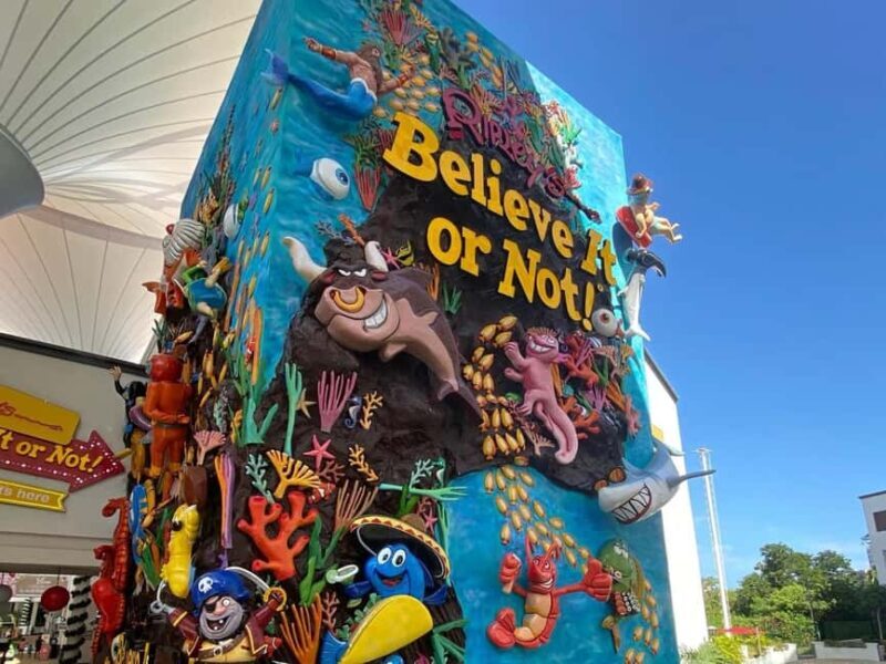 Cancun Guided Sightseeing SkyWheel, Letters and Shopping - An In-Depth Look at the Tour Experience
