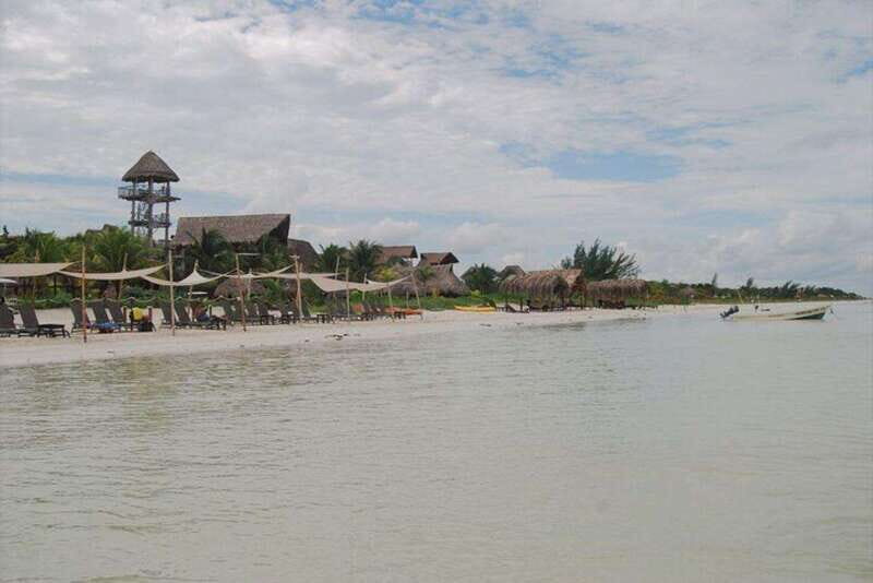 Cancun: Holbox Island Birdwatching and Wildlife Adventure - Starting Out: Convenient Departure from Cancun