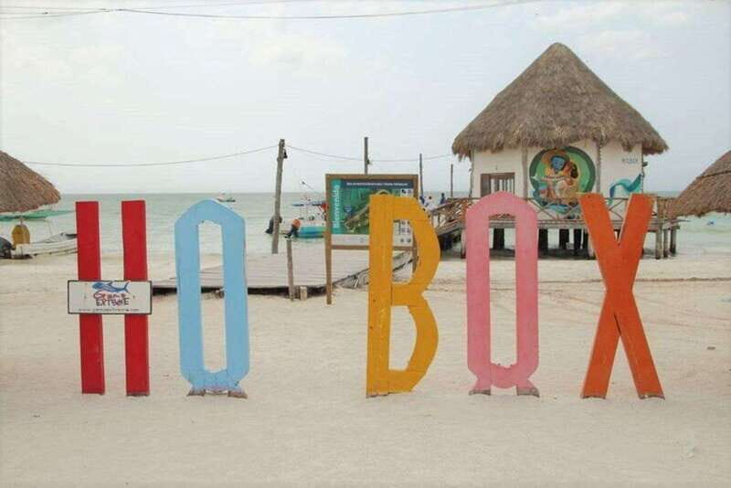 Cancun: Holbox Island Birdwatching and Wildlife Adventure - Lunch with Ocean Views