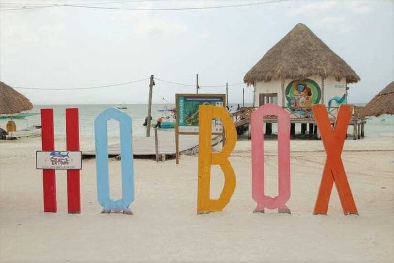 Cancun: Holbox Island Birdwatching and Wildlife Adventure - Return Journey and Final Thoughts