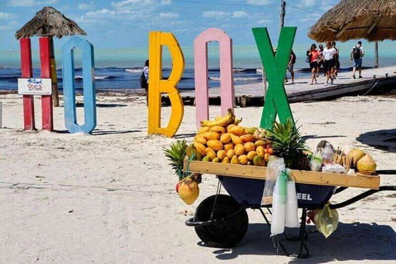 Cancun: Holbox plus Island, Punta Mosquito Trip with Lunch - Key Points