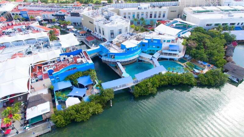 Cancún Interactive Aquarium Admission + Dolphin Presentation - Introduction