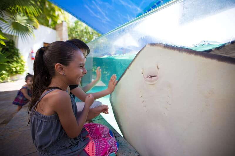 Cancún Interactive Aquarium Admission + Dolphin Presentation - Analyzing the Value