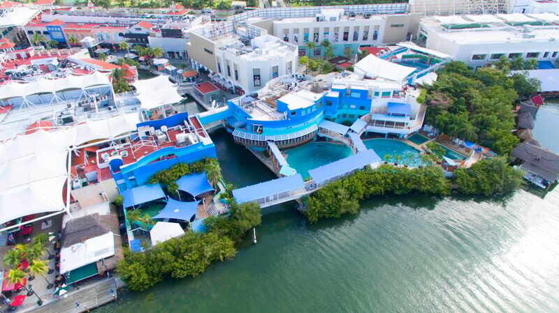 Cancún Interactive Aquarium Admission + Dolphin Presentation - Who This Tour is Best For