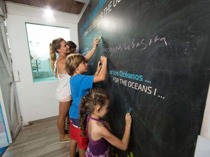 Cancún Interactive Aquarium Admission + Dolphin Presentation - FAQ