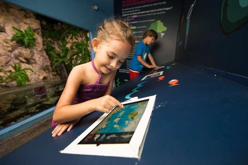 Cancún: Interactive Aquarium Admission - A Deep Dive into the Experience