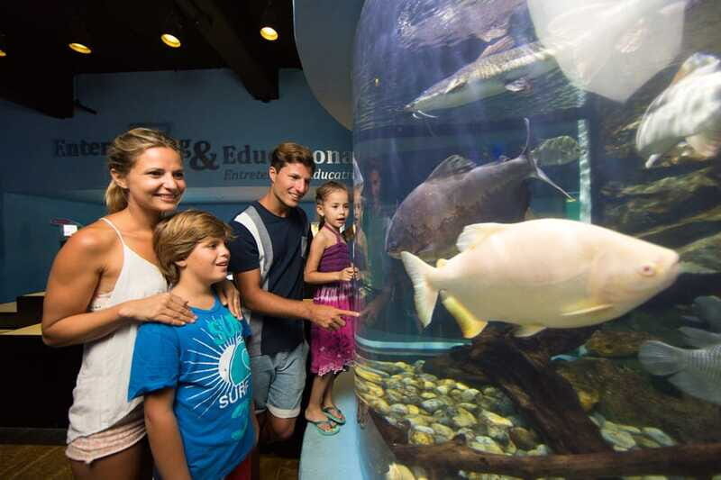 Cancún: Interactive Aquarium Admission - Why This Tour Is Worth Considering