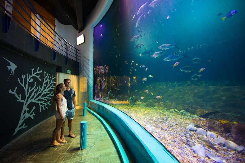 Cancún: Interactive Aquarium Admission - Who Will Love This Experience?