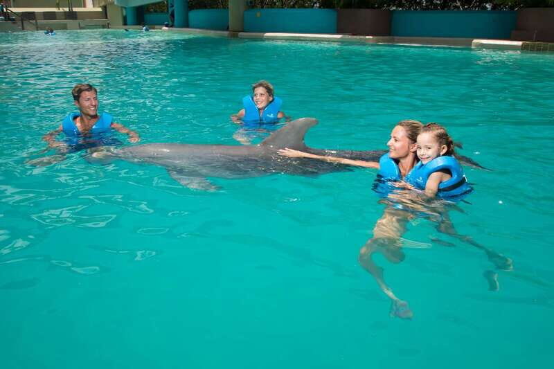 Cancun: Interactive Aquarium - Swim with dolphins Premium - What Is the Experience Like?