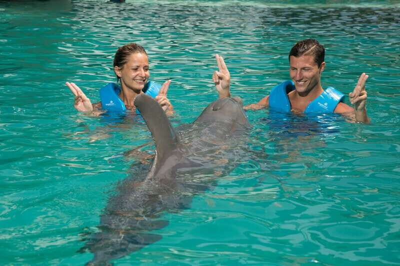 Cancun: Interactive Aquarium - Swim with dolphins Premium - Practical Details and Logistics