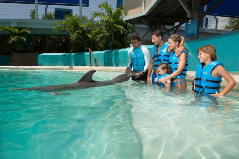 Cancun: Interactive Aquarium - Swim with dolphins Premium - Whats Included, What’s Not?