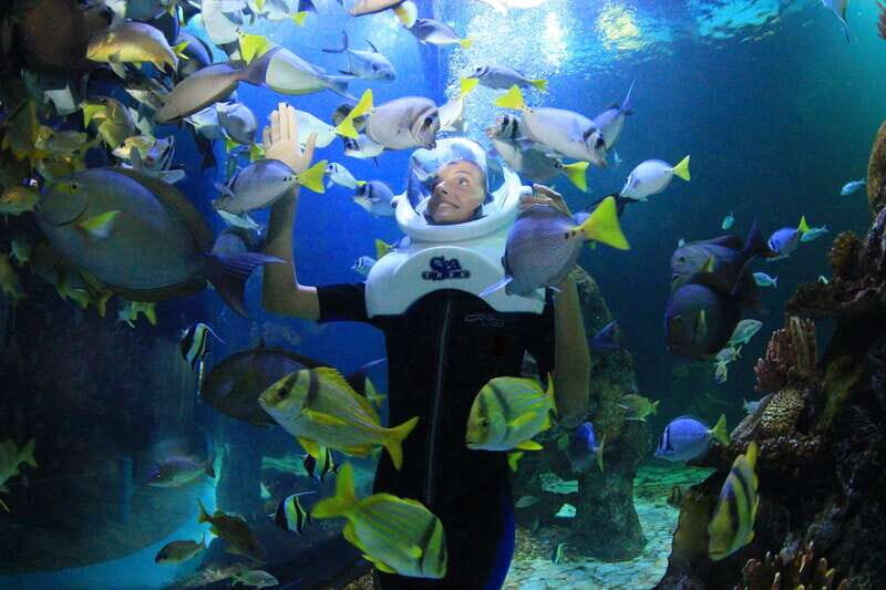 Cancun: Interactive Aquarium - Swim with dolphins Premium - Who Should Consider This Tour?