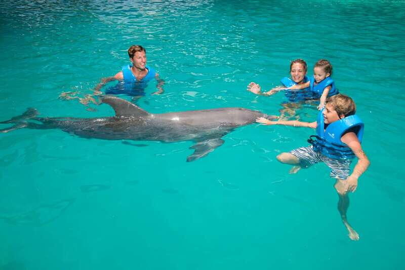 Cancun: Interactive Aquarium - Swim with dolphins Premium - The Sum Up